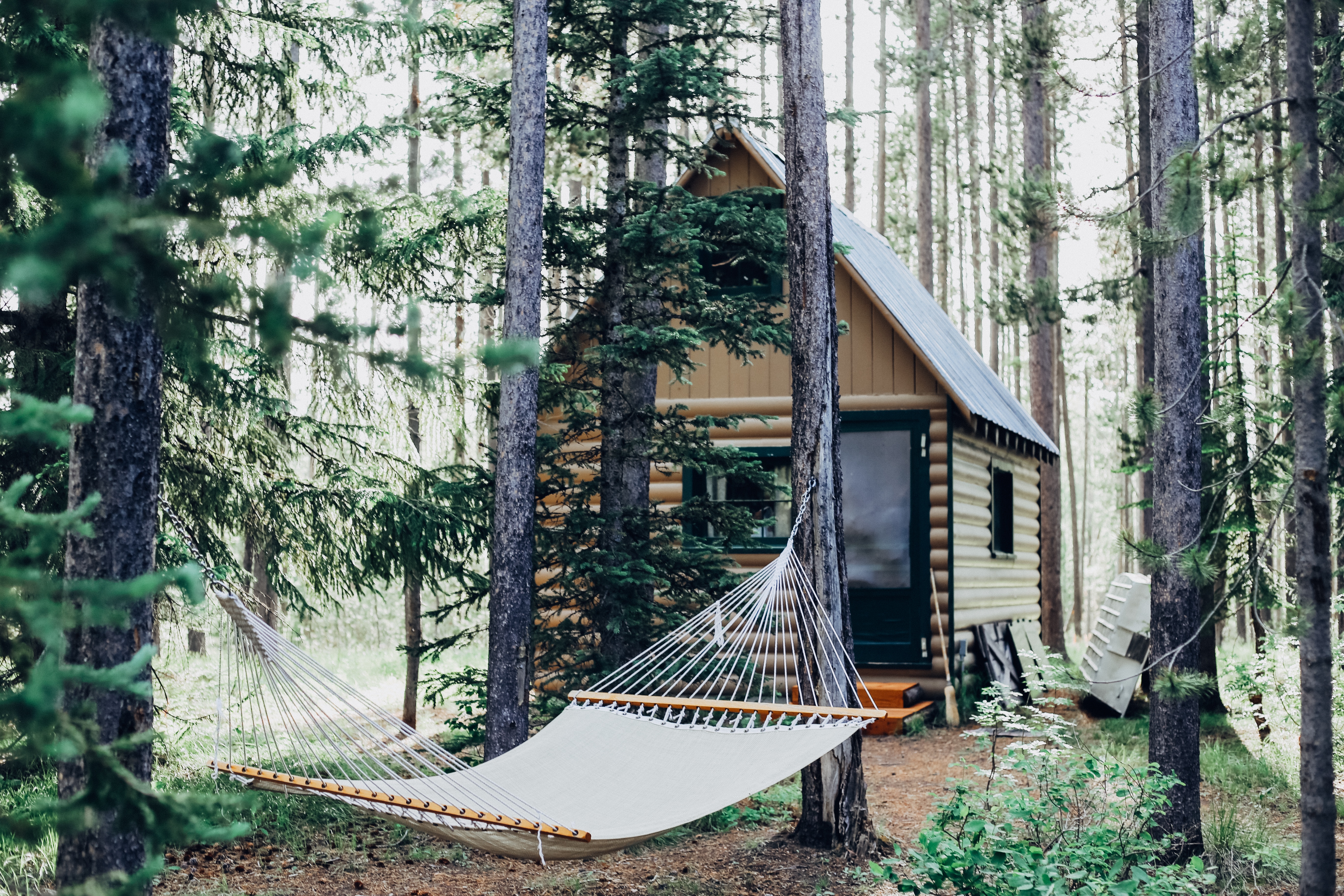 My beautiful Tiny House - Suzane Green