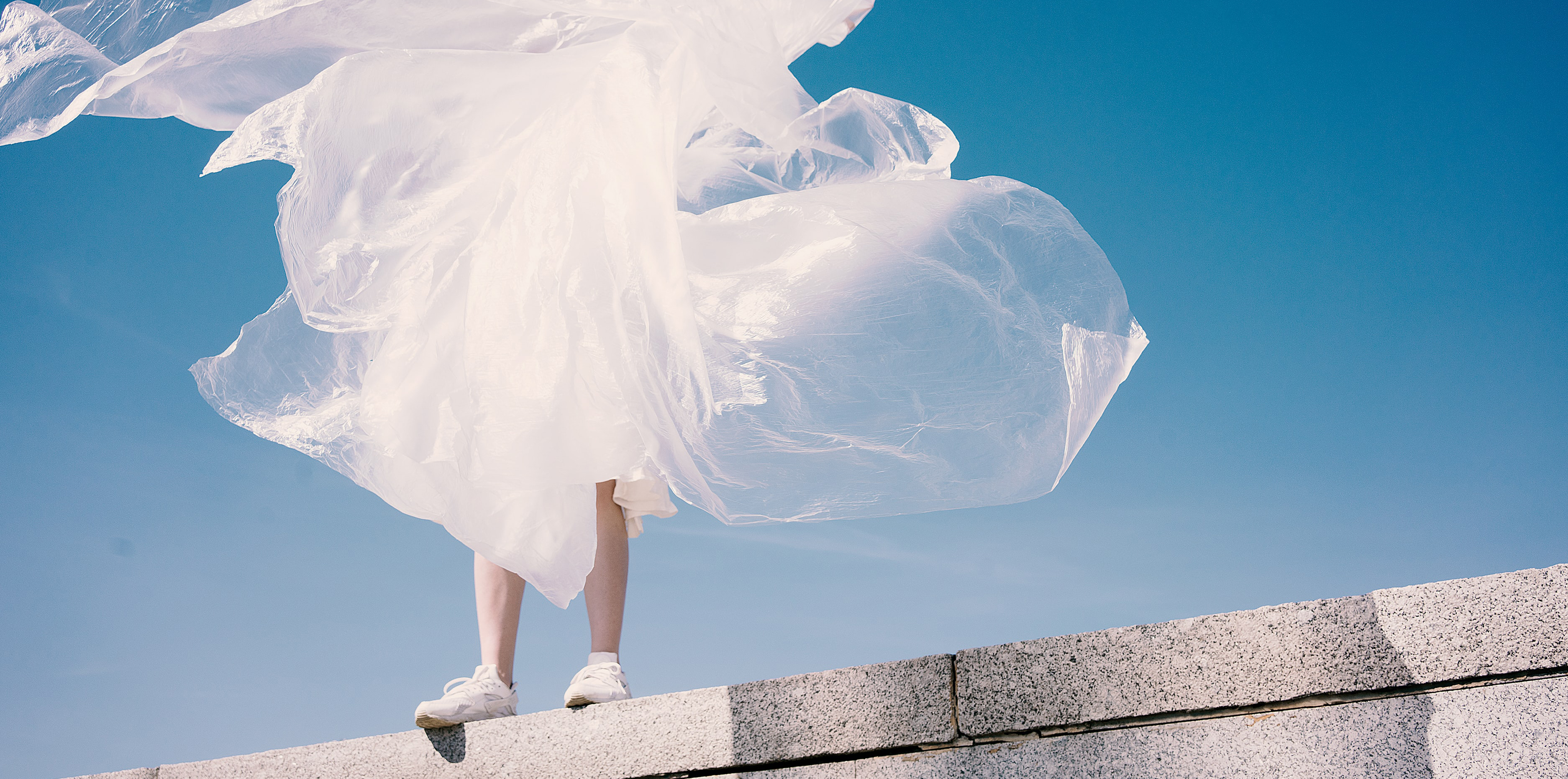 LE NO PLASTIC CHALLENGE 2020 - Suzane Green